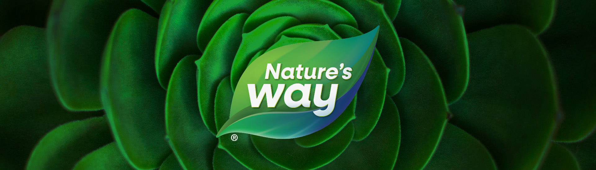 5 Things to Know About Our New Look – Nature's Way®