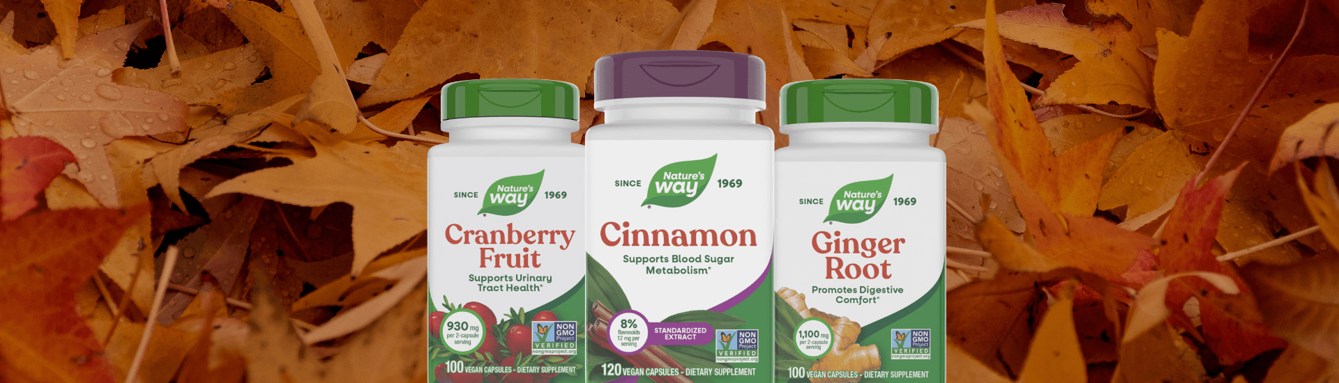Fall Flavors from Nature's Way – Nature's Way®