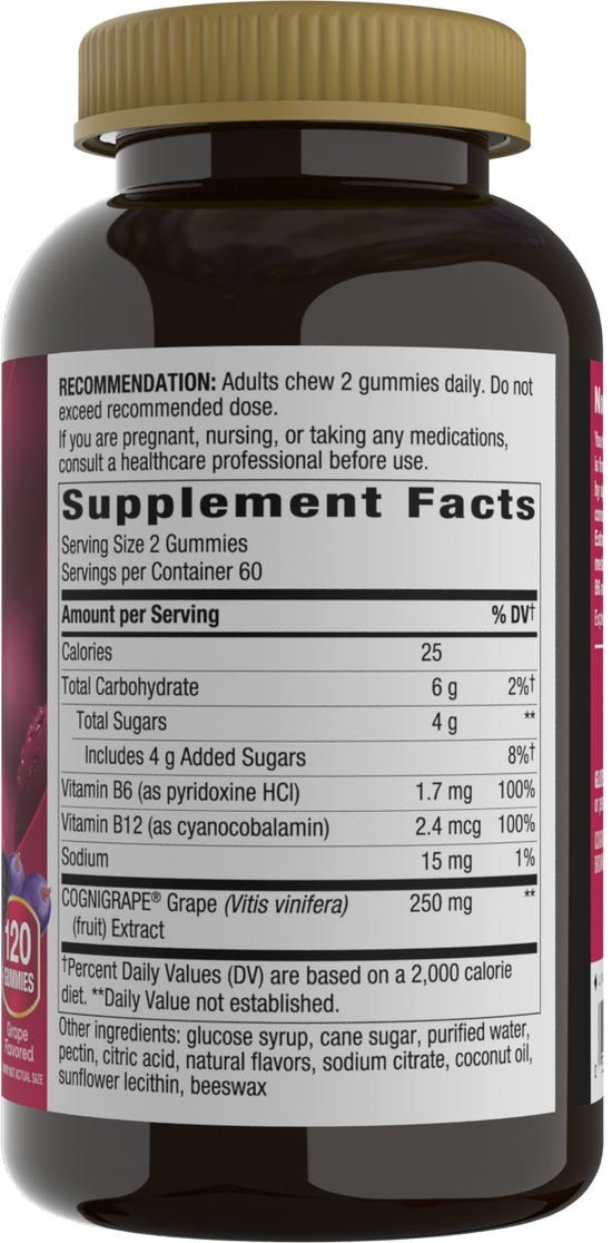 Brain Fuel Gummy | Nature's Way®