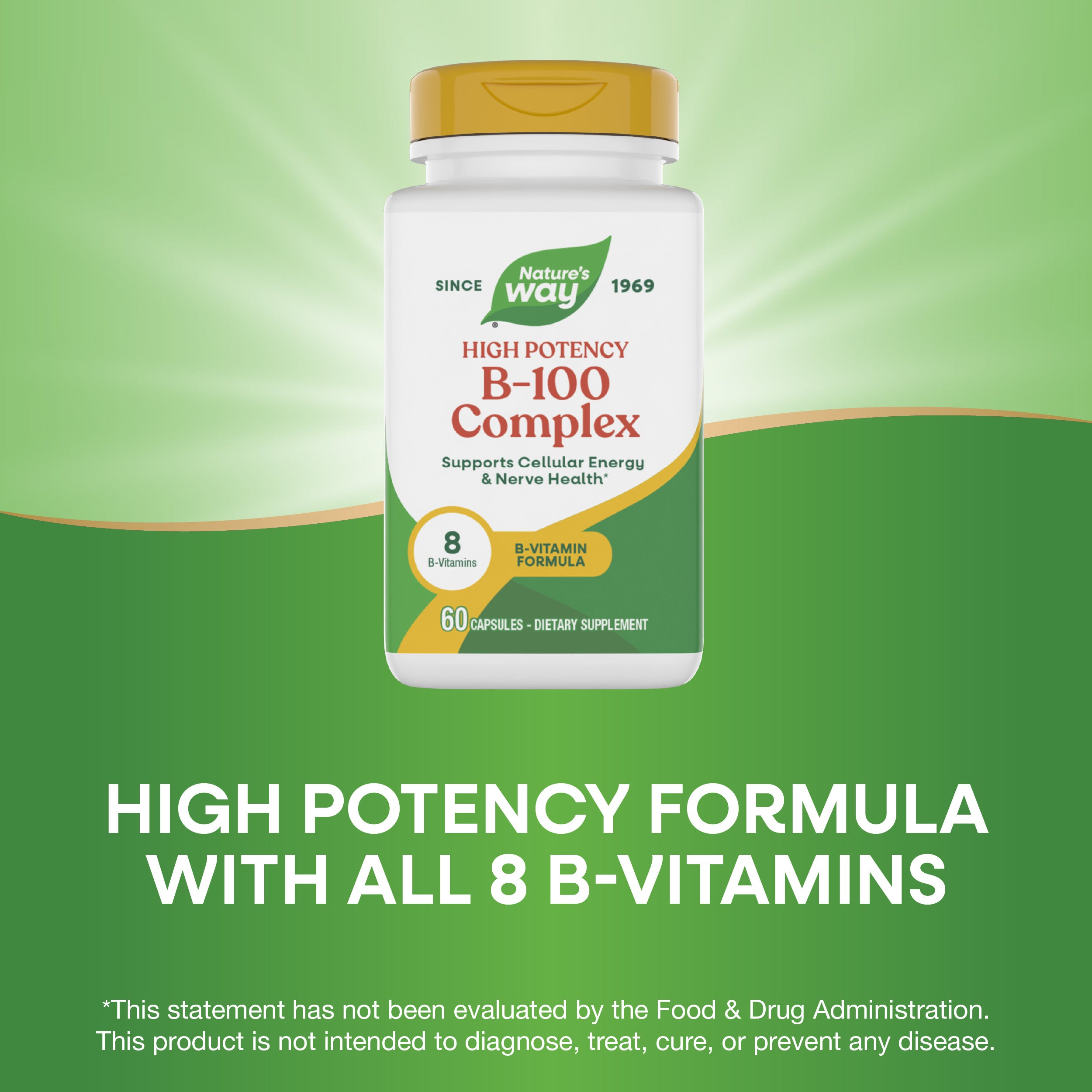 Vitamin B-100 Complex | Nature's Way®