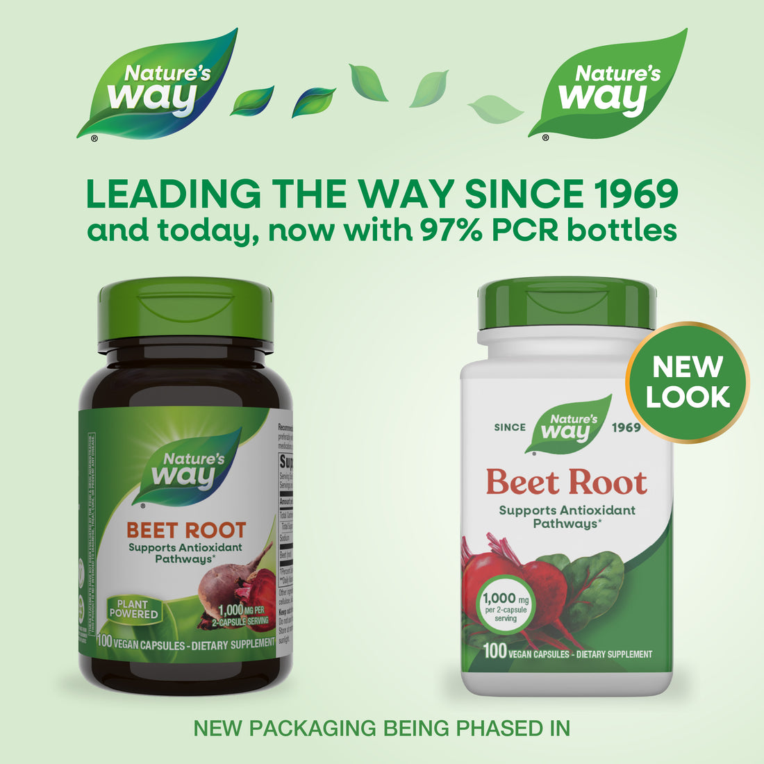 Beet Root | Nature's Way®