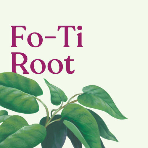 Fo-Ti Root – Nature's Way®